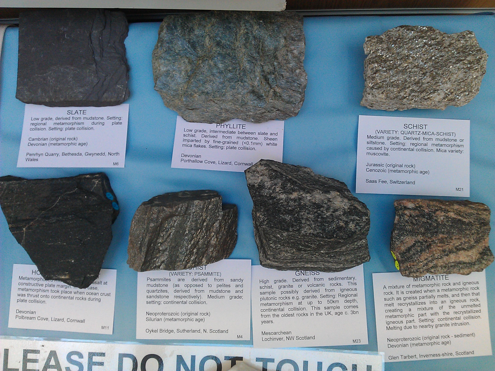 Home [www.hhgs.org.uk]